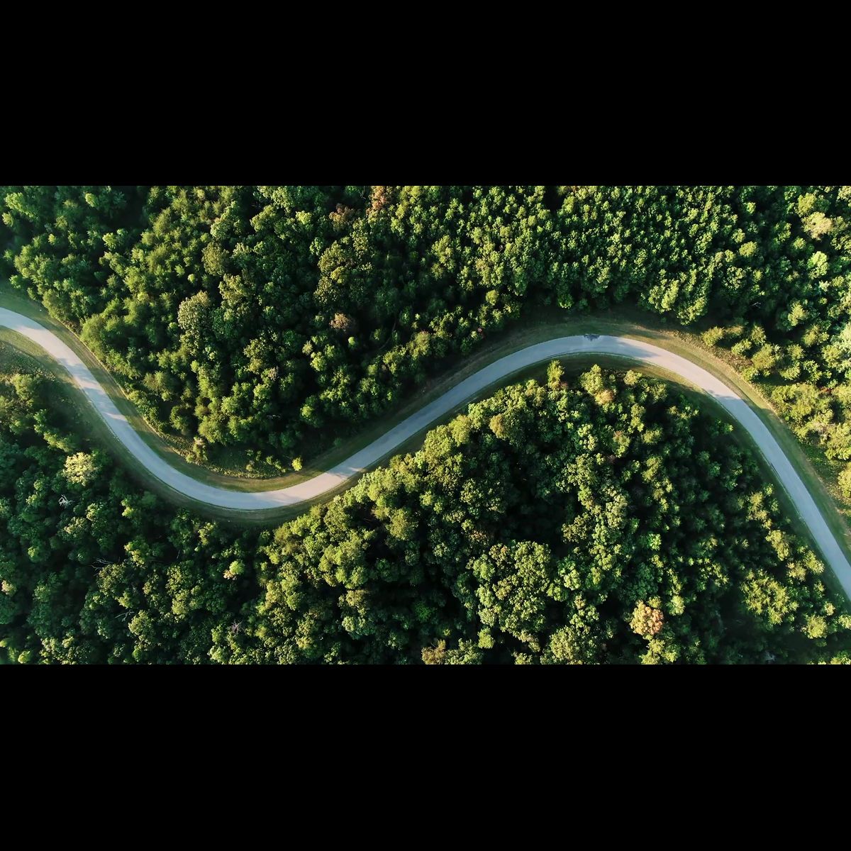 Freedom on the road - Santam